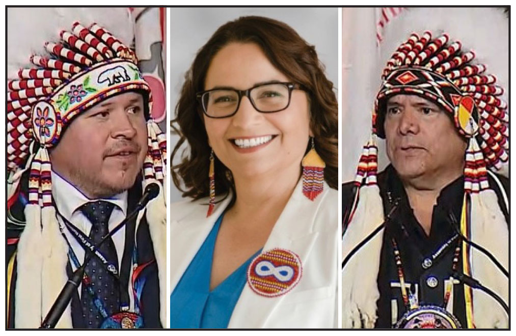 Métis Nation in Alberta, Manitoba First Nations want in on the ...